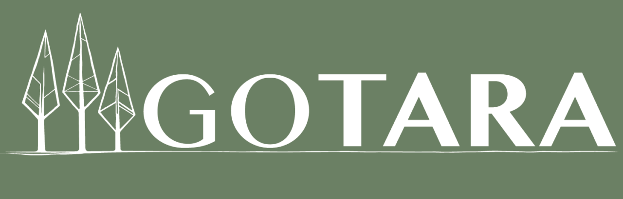 Terms of Use | GOTARA
